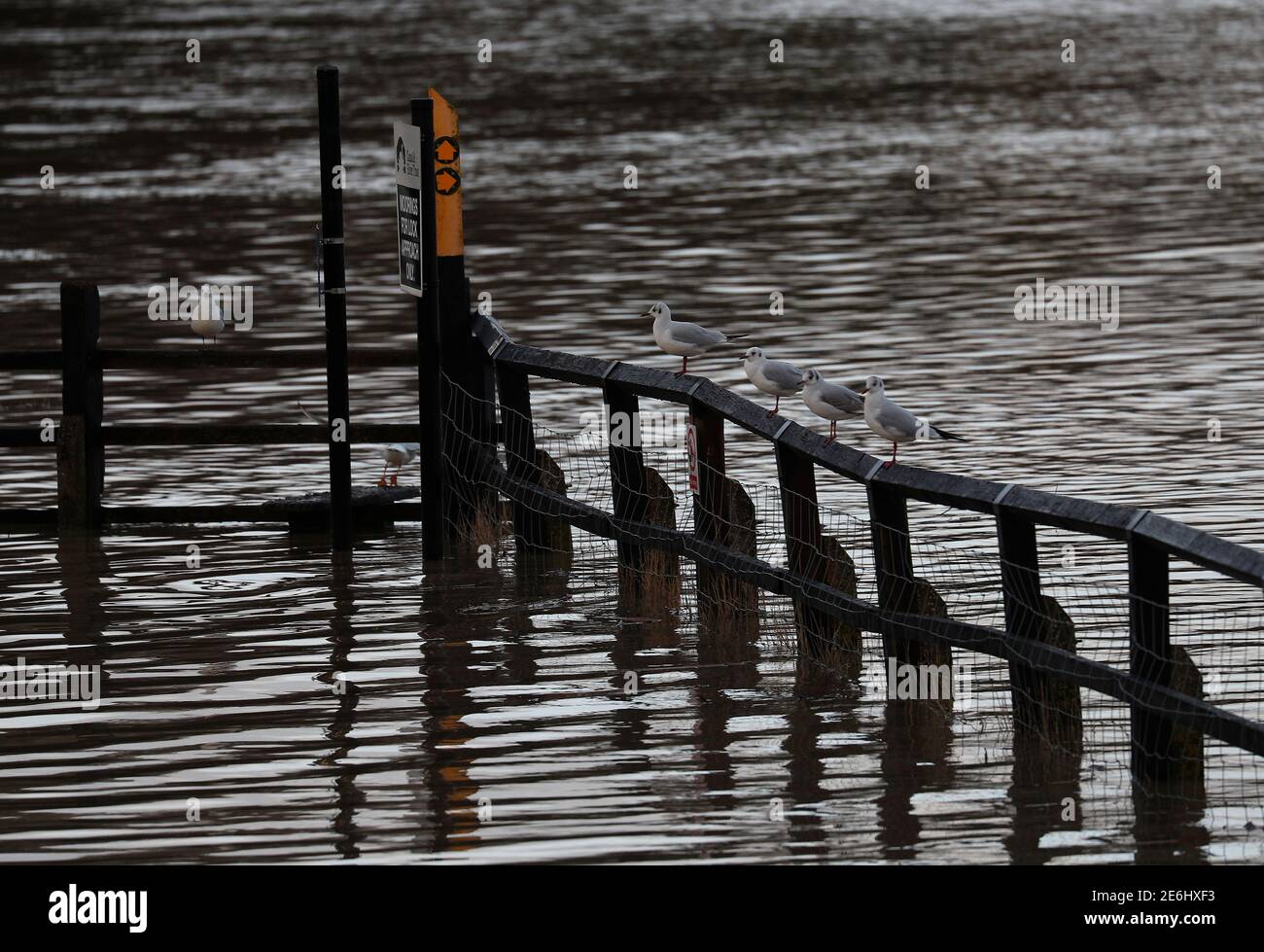 Flood water marker hi-res stock photography and images - Alamy