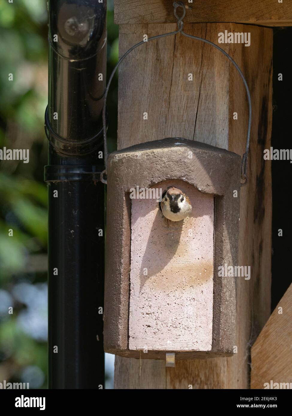 Woodcrete box hi-res stock photography and images - Alamy