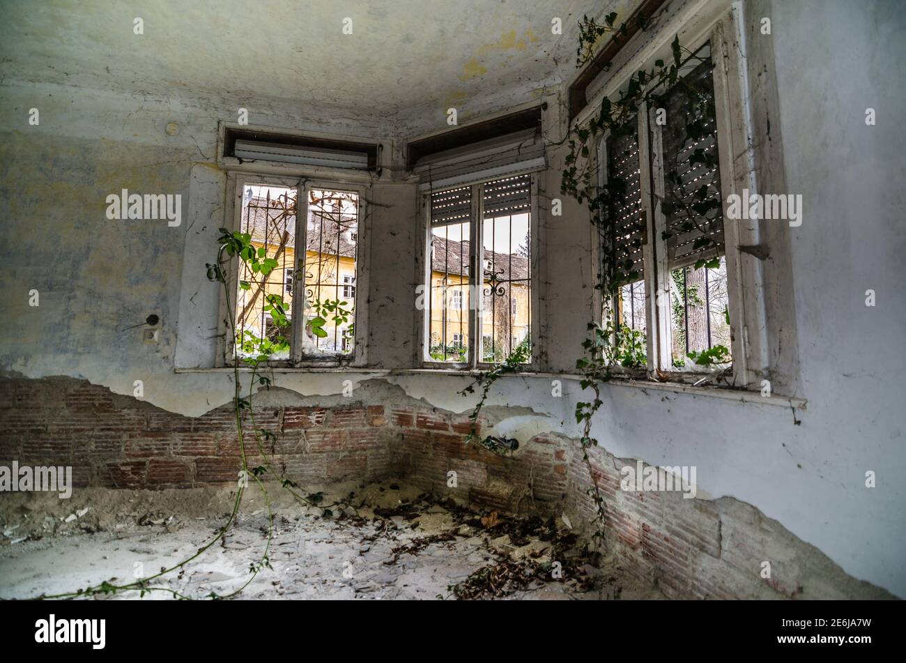 old overgrown room with many windows Stock Photo - Alamy