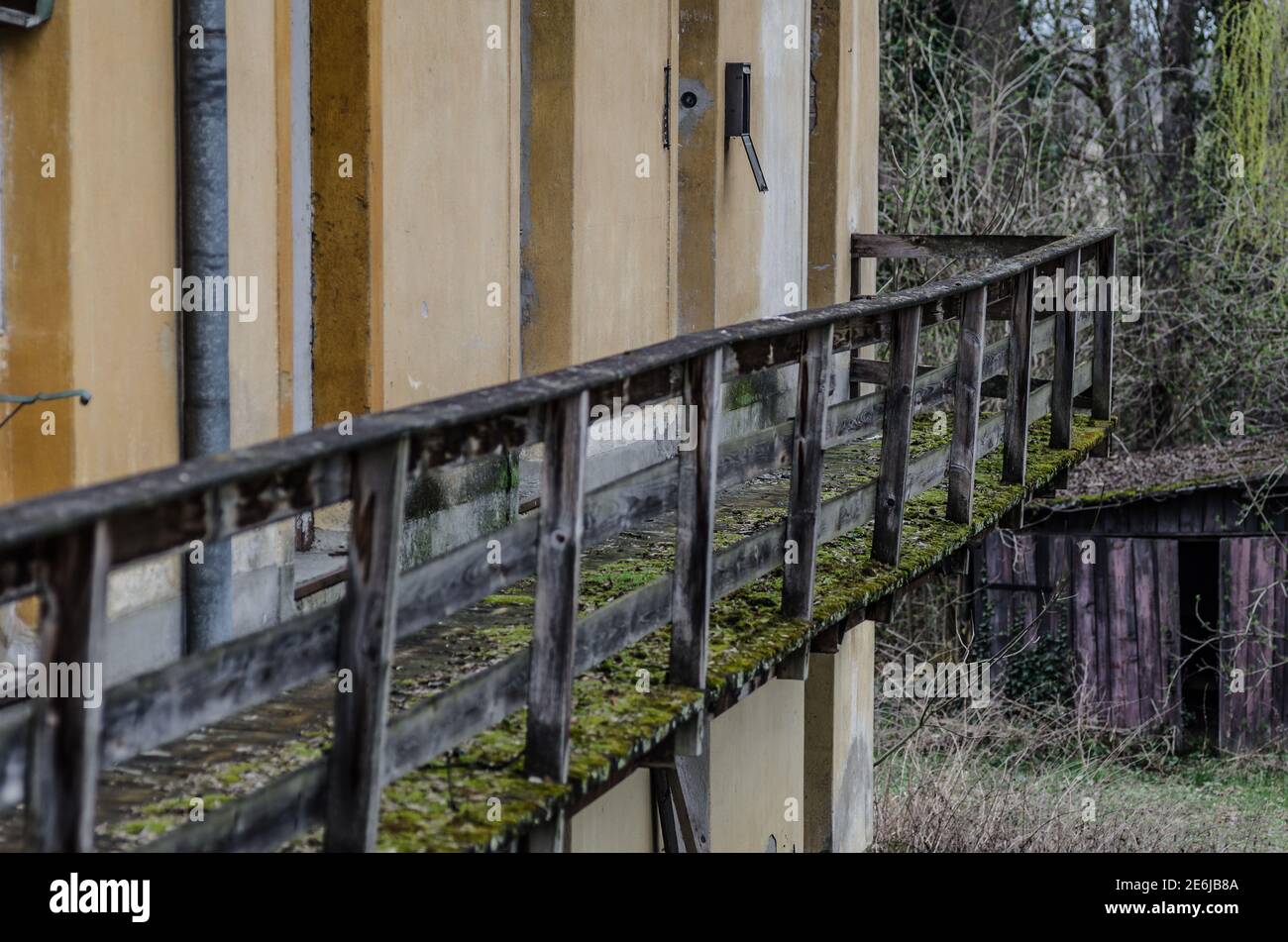old wooden railing with green moss Stock Photo - Alamy