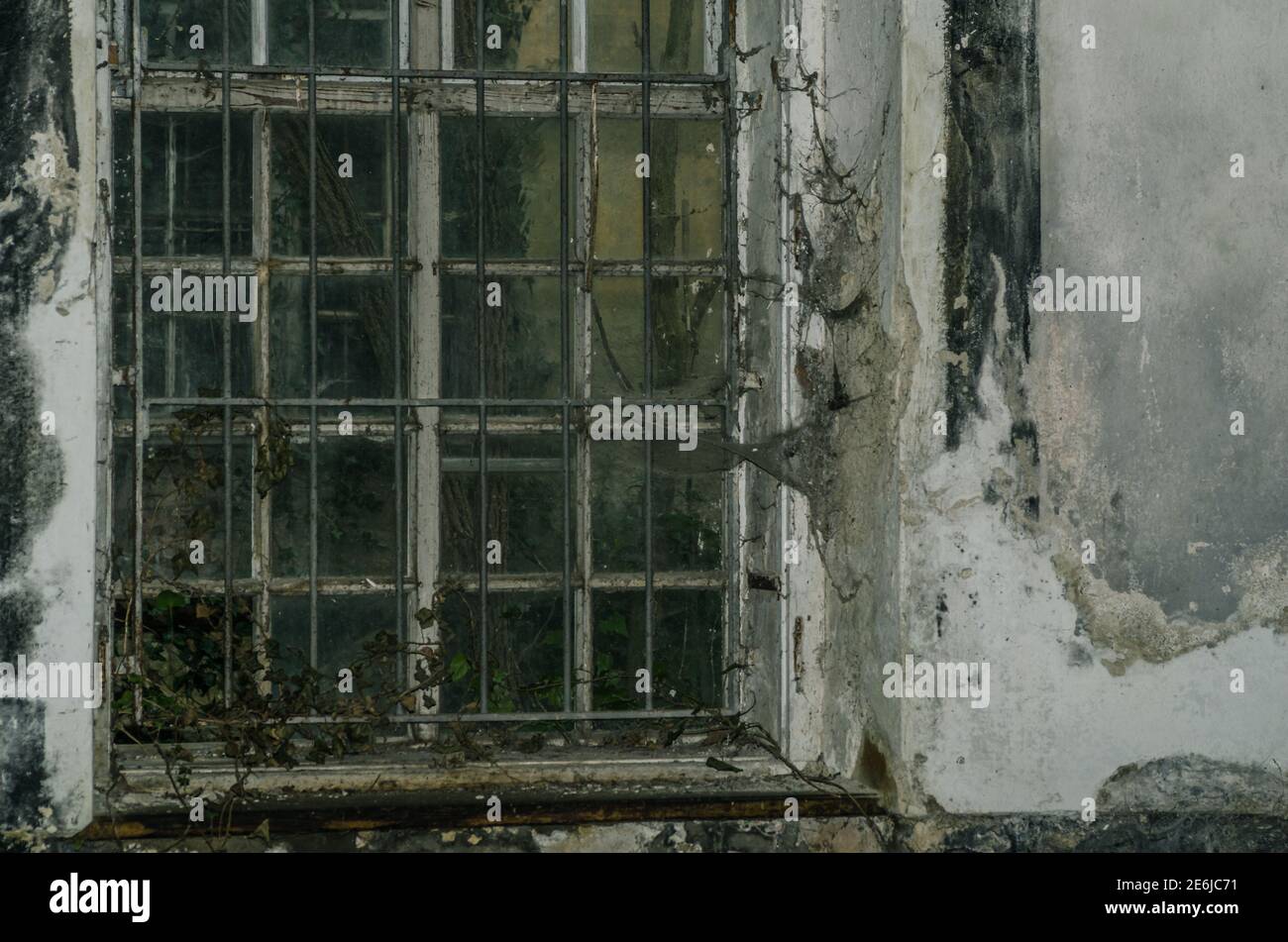 old windows and cobwebs Stock Photo - Alamy