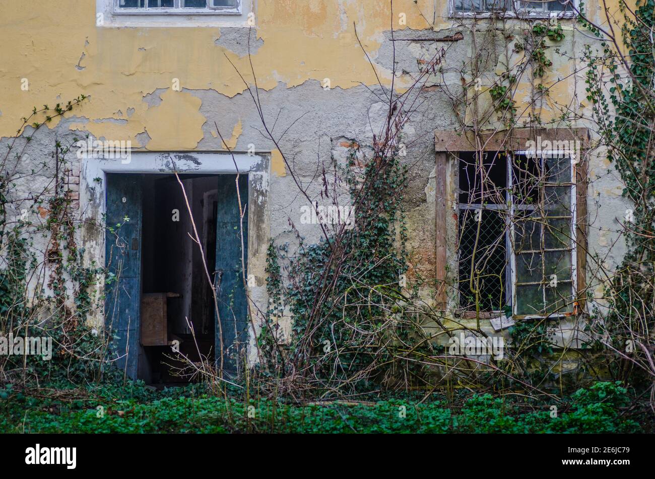 old overgrown house wall Stock Photo - Alamy