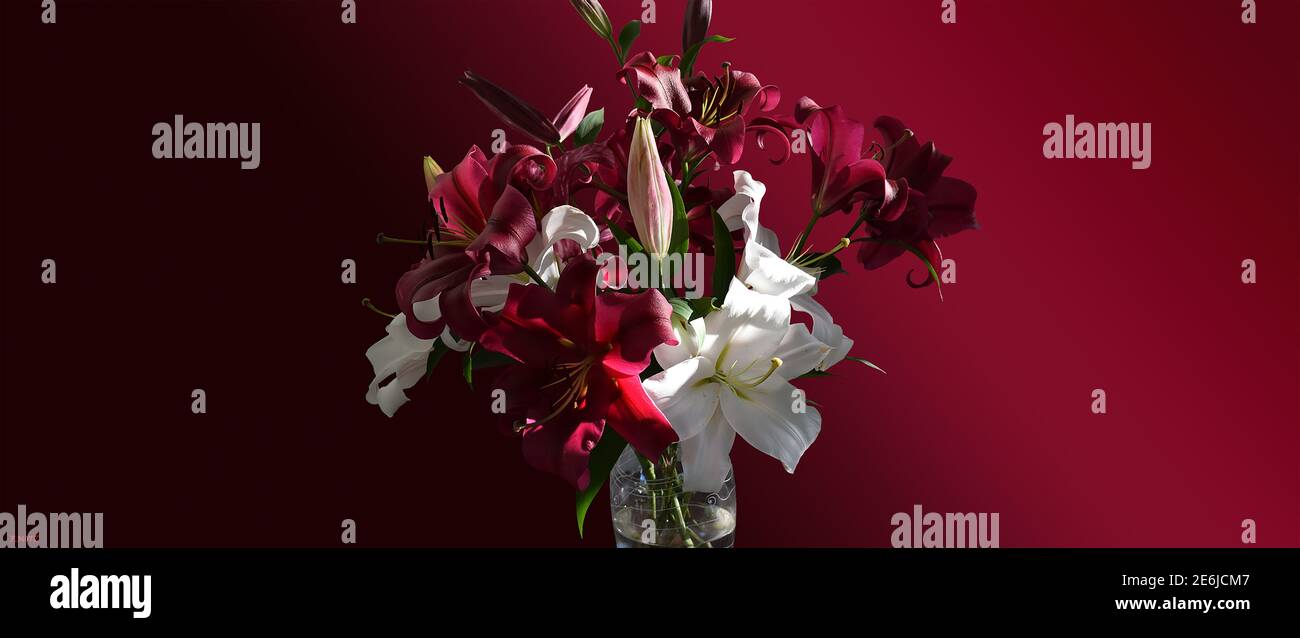 Impression bouquet de lys rouge et blanc Stock Photo - Alamy
