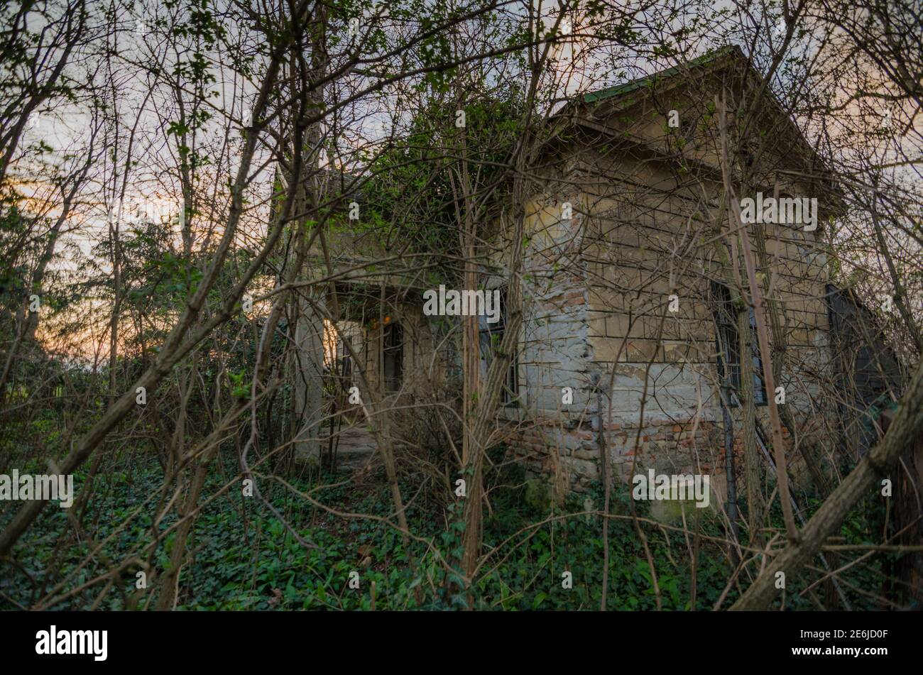 Ruined construction in forest hi-res stock photography and images - Alamy