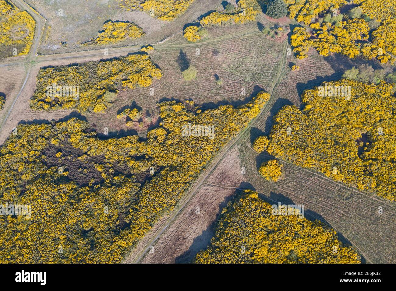 Aerial view of Salthouse Heath, North Norfolk showing paths, heathland ...
