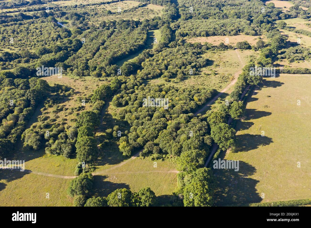 Knepp knepp rewilding project hi-res stock photography and images - Alamy