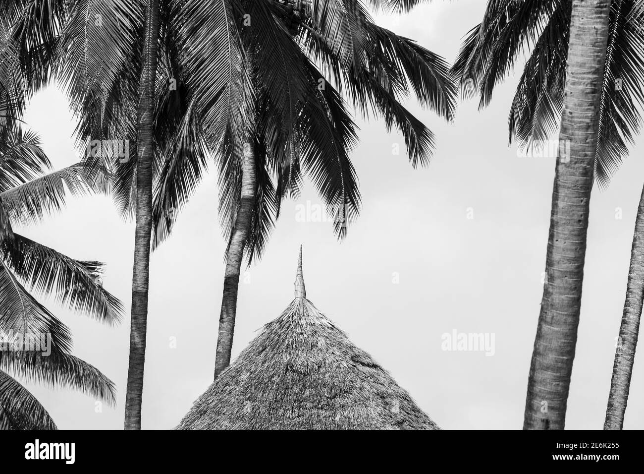 Tropical Straw Roof Hut High Resolution Stock Photography and Images ...
