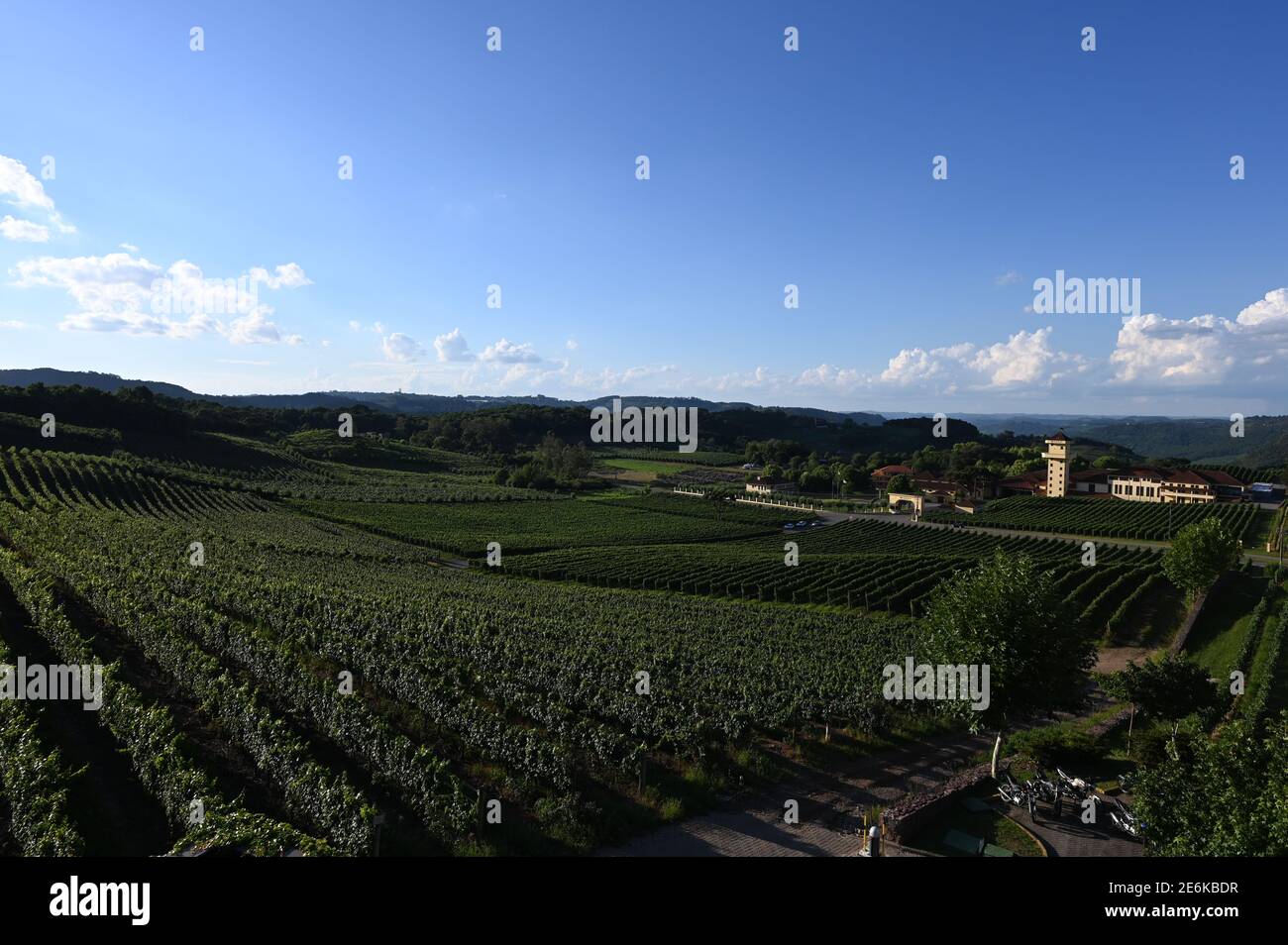 Miolo brazil hi-res stock photography and images - Alamy