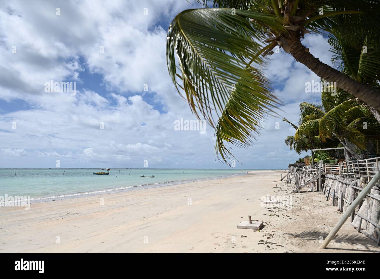 tropical beach in Brazil Stock Photo - Alamy