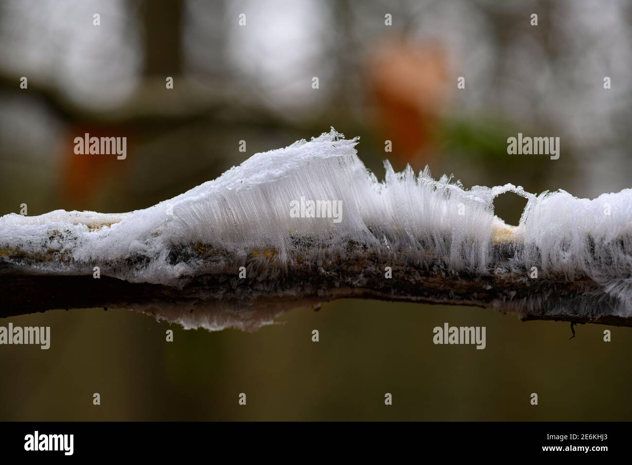 Hair ice hi-res stock photography and images - Alamy