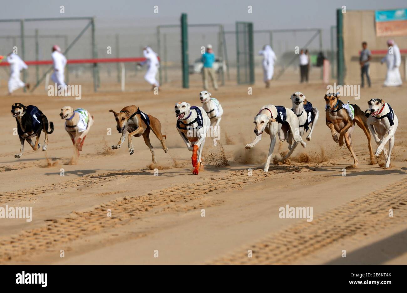 Sheikh sultan festival hi-res stock photography and images - Alamy