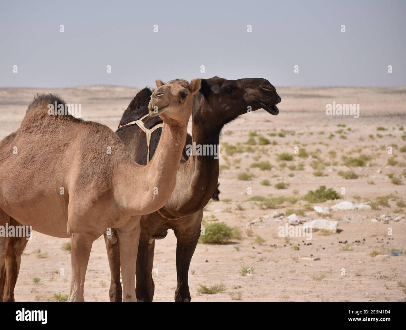 Land use clash hi-res stock photography and images - Alamy