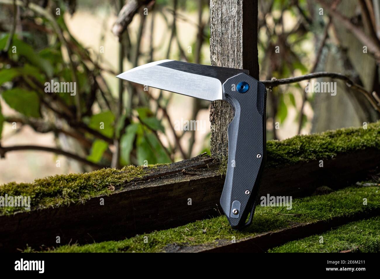 A sharp knife in a bent position. Knife on the background of a bush ...