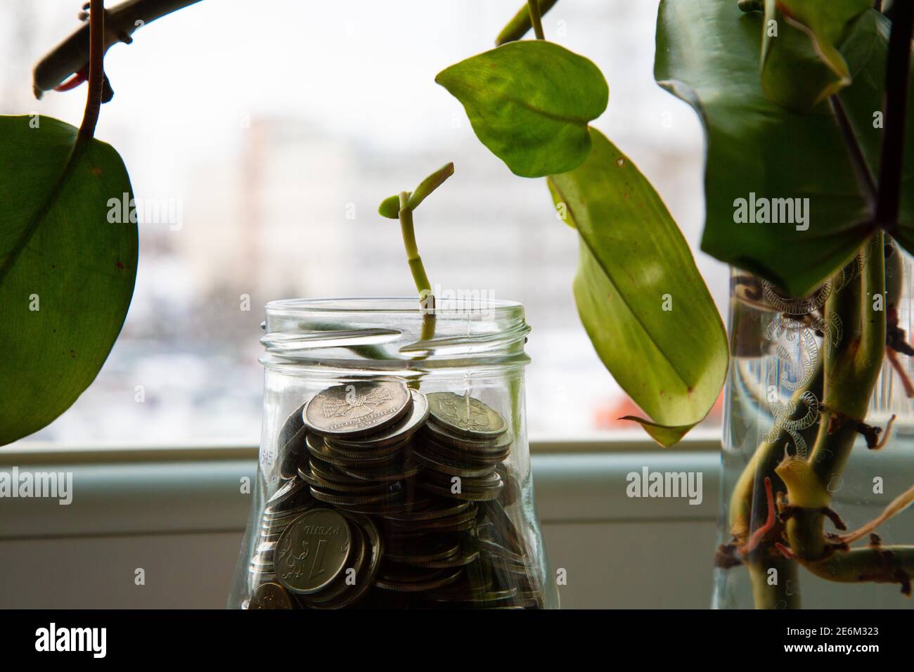 Money sprout hi-res stock photography and images - Alamy