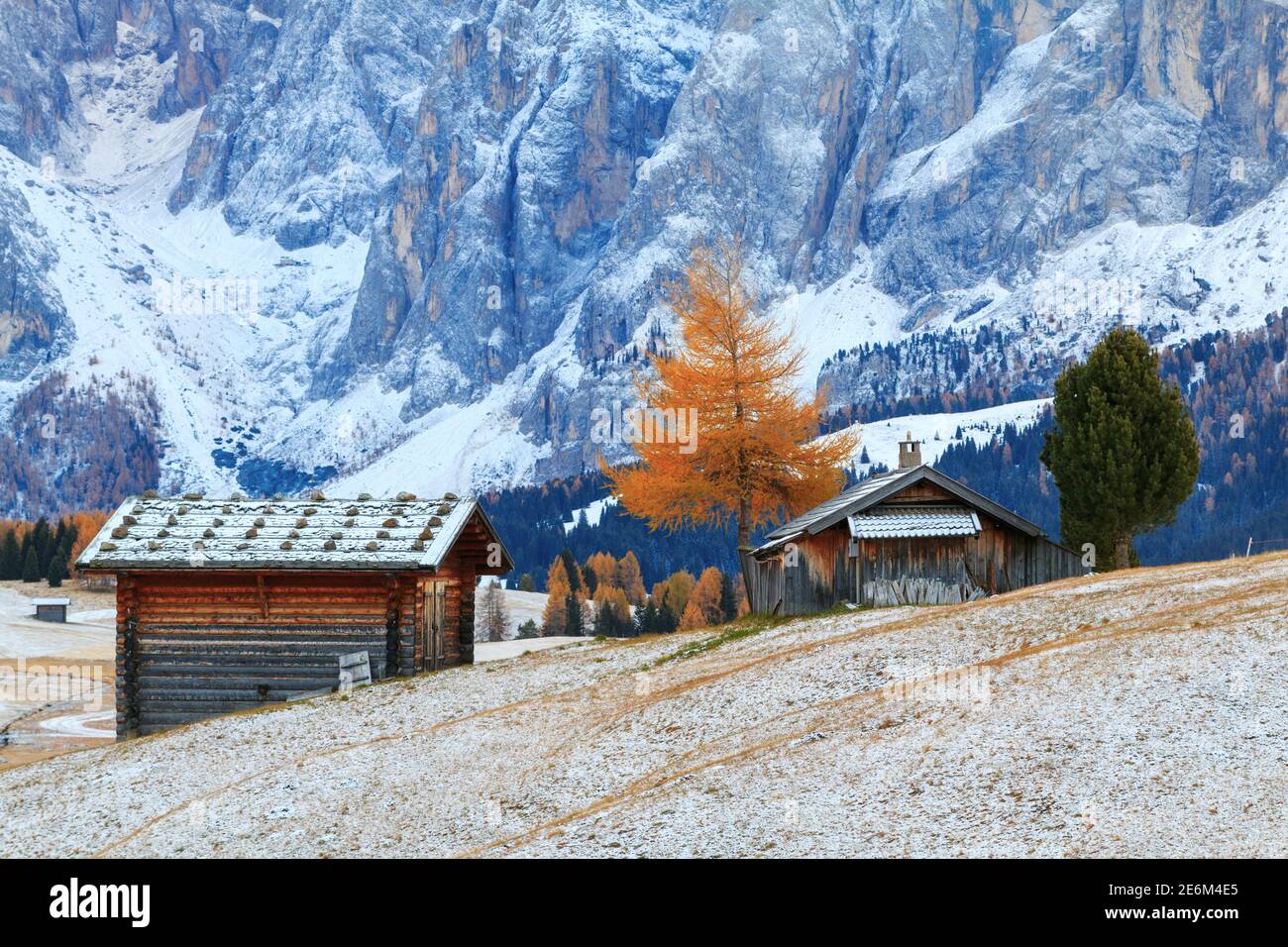 Mountain meadow and wooden house Alpe di Siusi or Seiser Alm the ...