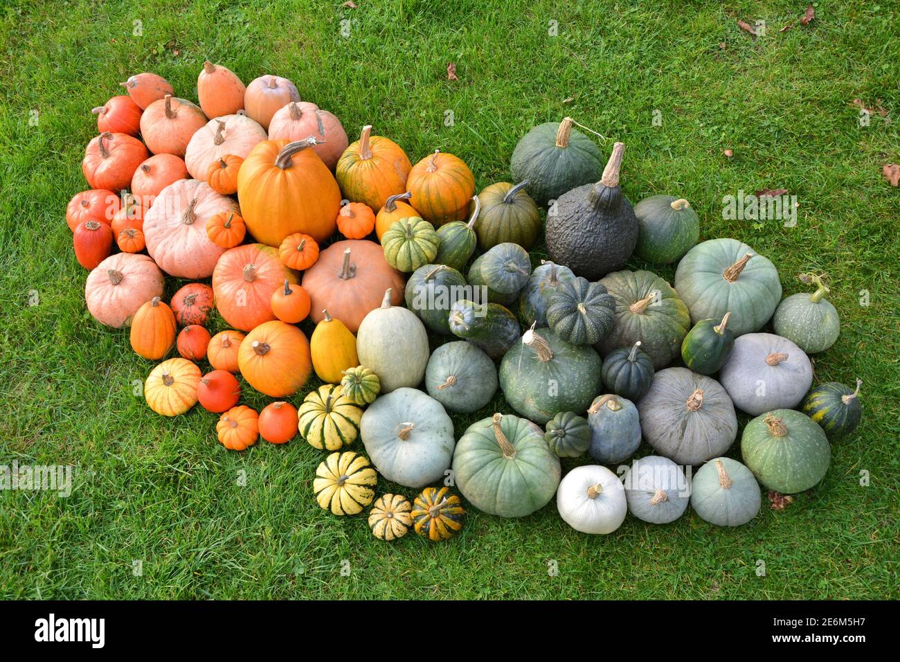 Fruit vegetable rainbow colors hi-res stock photography and images - Alamy
