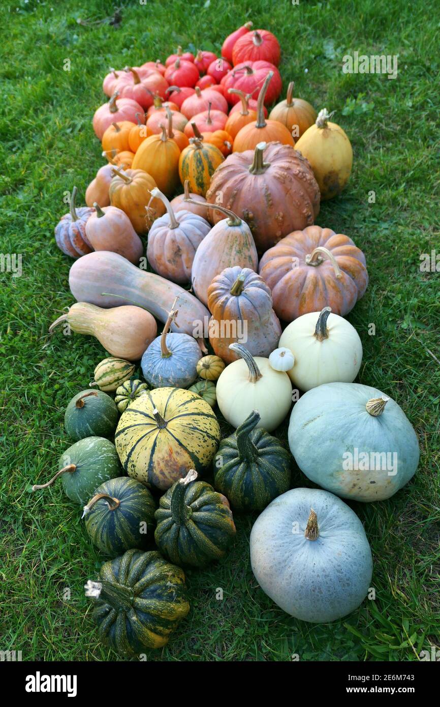 Gradient composition hi-res stock photography and images - Alamy