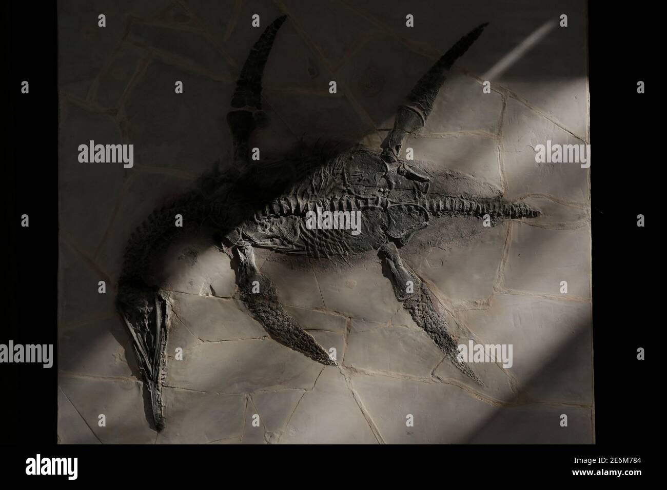 Mauricio garza hi-res stock photography and images - Alamy