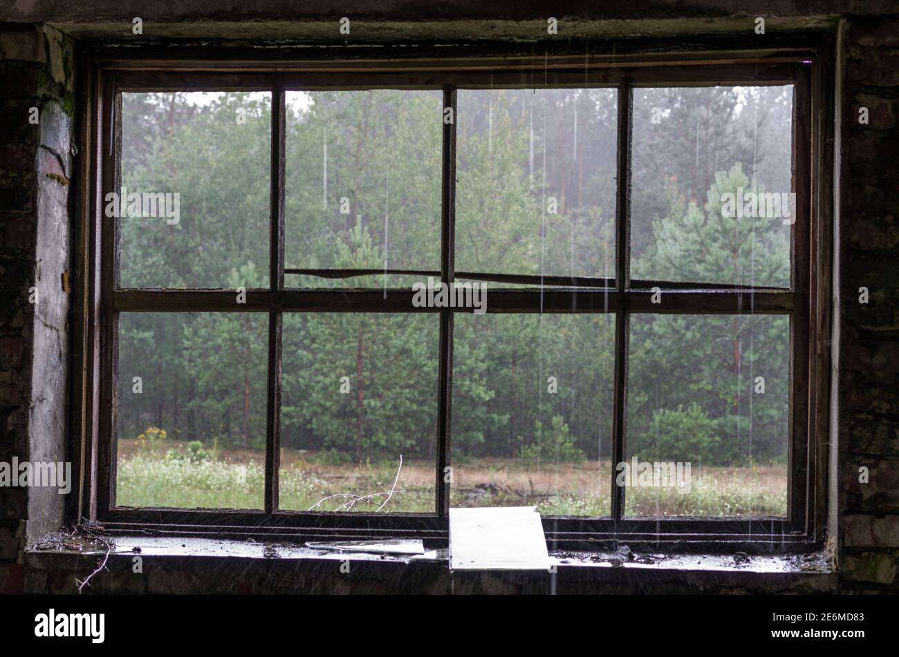 Checked window frame. View of the forest through a window without glass ...