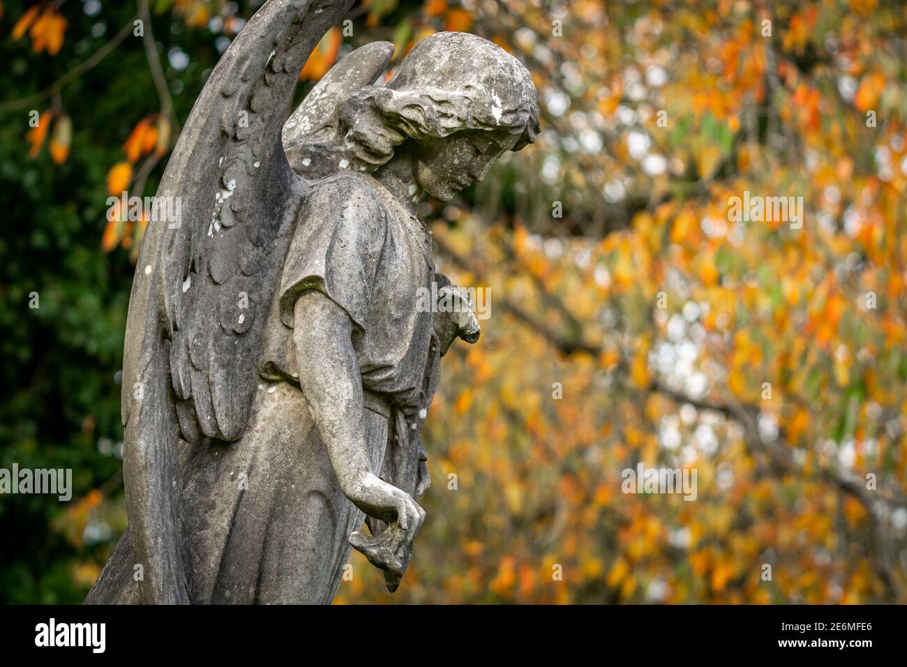 Angel stunning stone granite grave headstone in cemetery graveyard ...