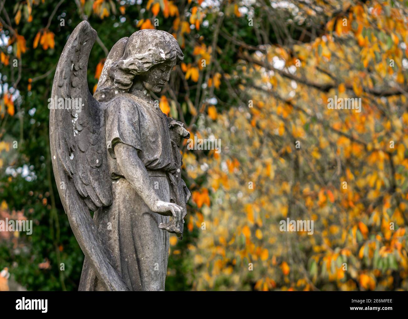 Nottingham cemetery hi-res stock photography and images - Alamy
