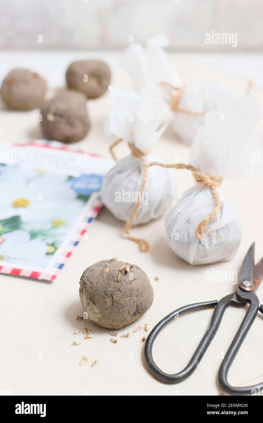Seedbombs gift hi-res stock photography and images - Alamy