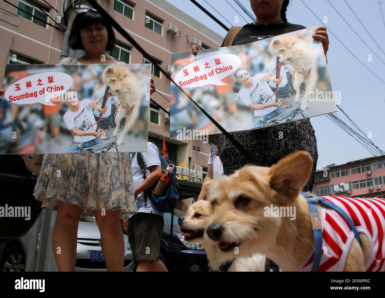 Yulin dog meat festival are hi-res stock photography and images - Alamy