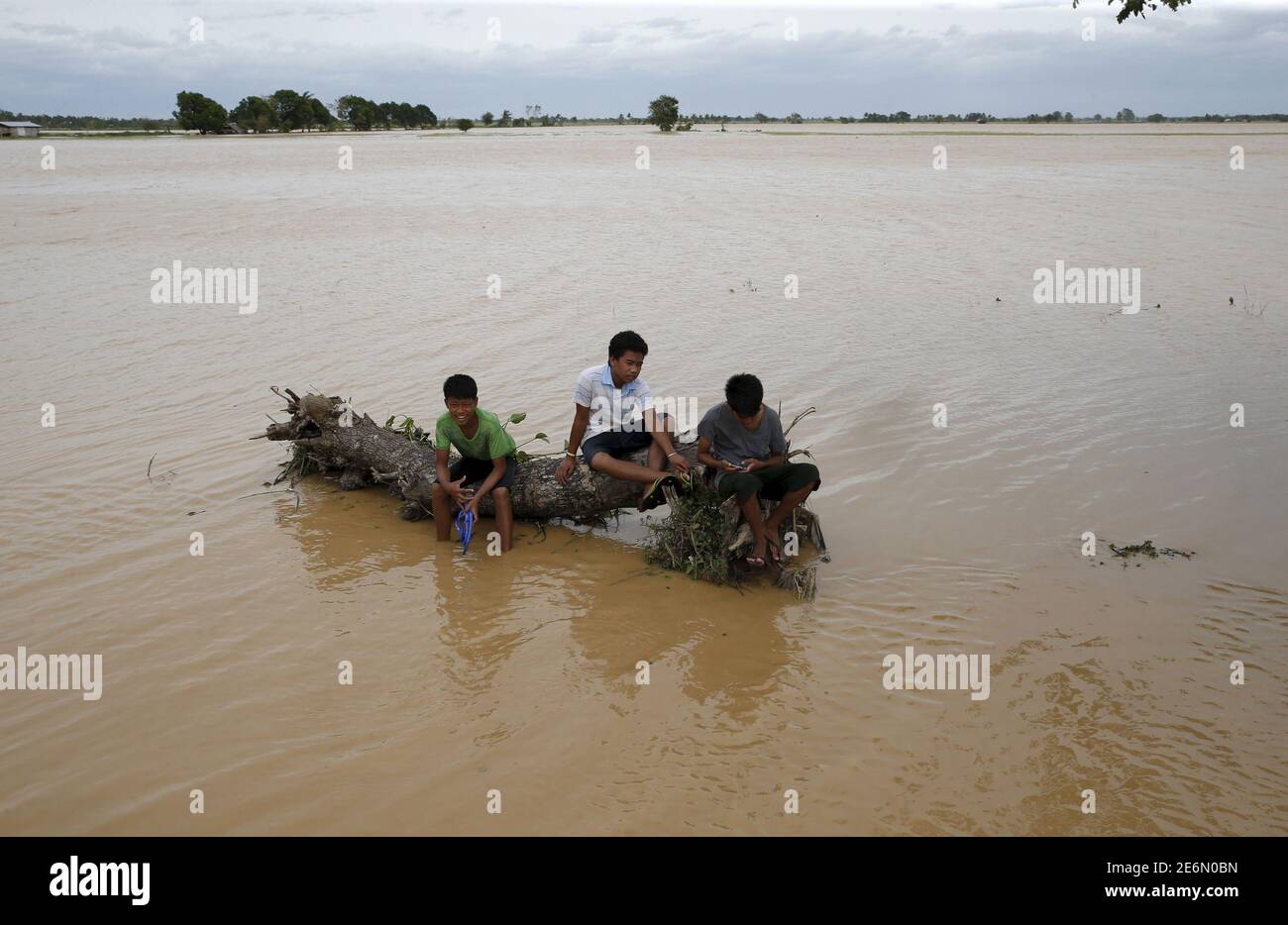 Before after disaster tree hi-res stock photography and images - Alamy