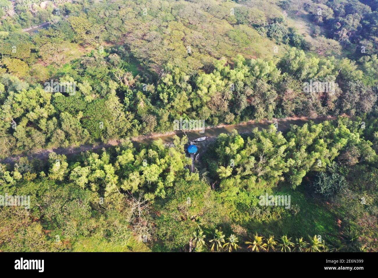 Bagerhat, Bangladesh - January 21, 2021: Aerial view of the Mangrove ...