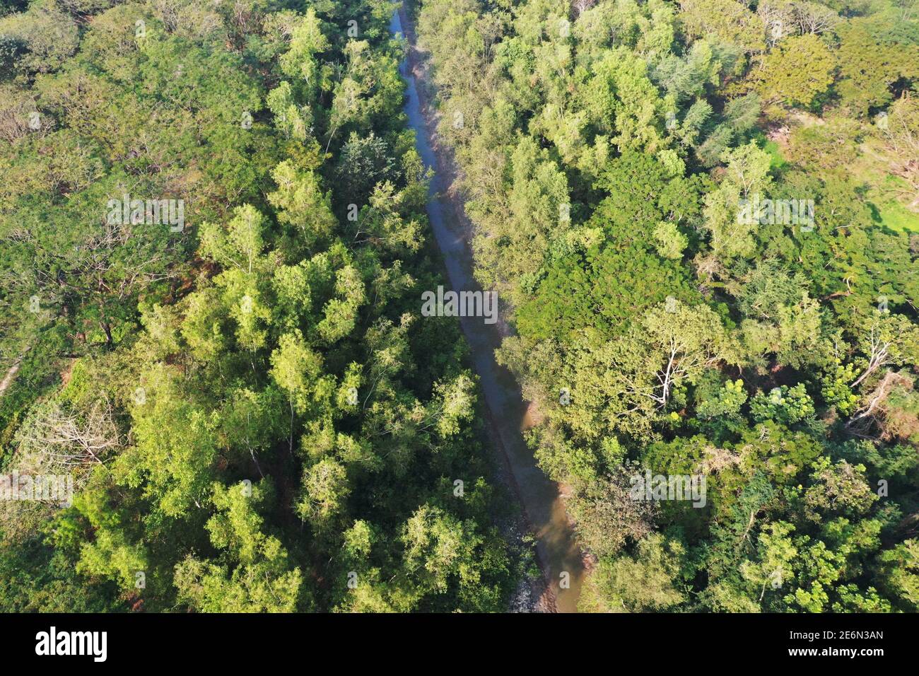 Bagerhat, Bangladesh - January 21, 2021: Aerial view of the Mangrove ...