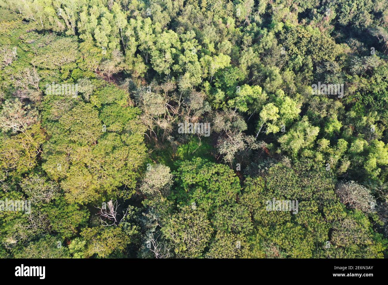 Bagerhat, Bangladesh - January 21, 2021: Aerial view of the Mangrove ...