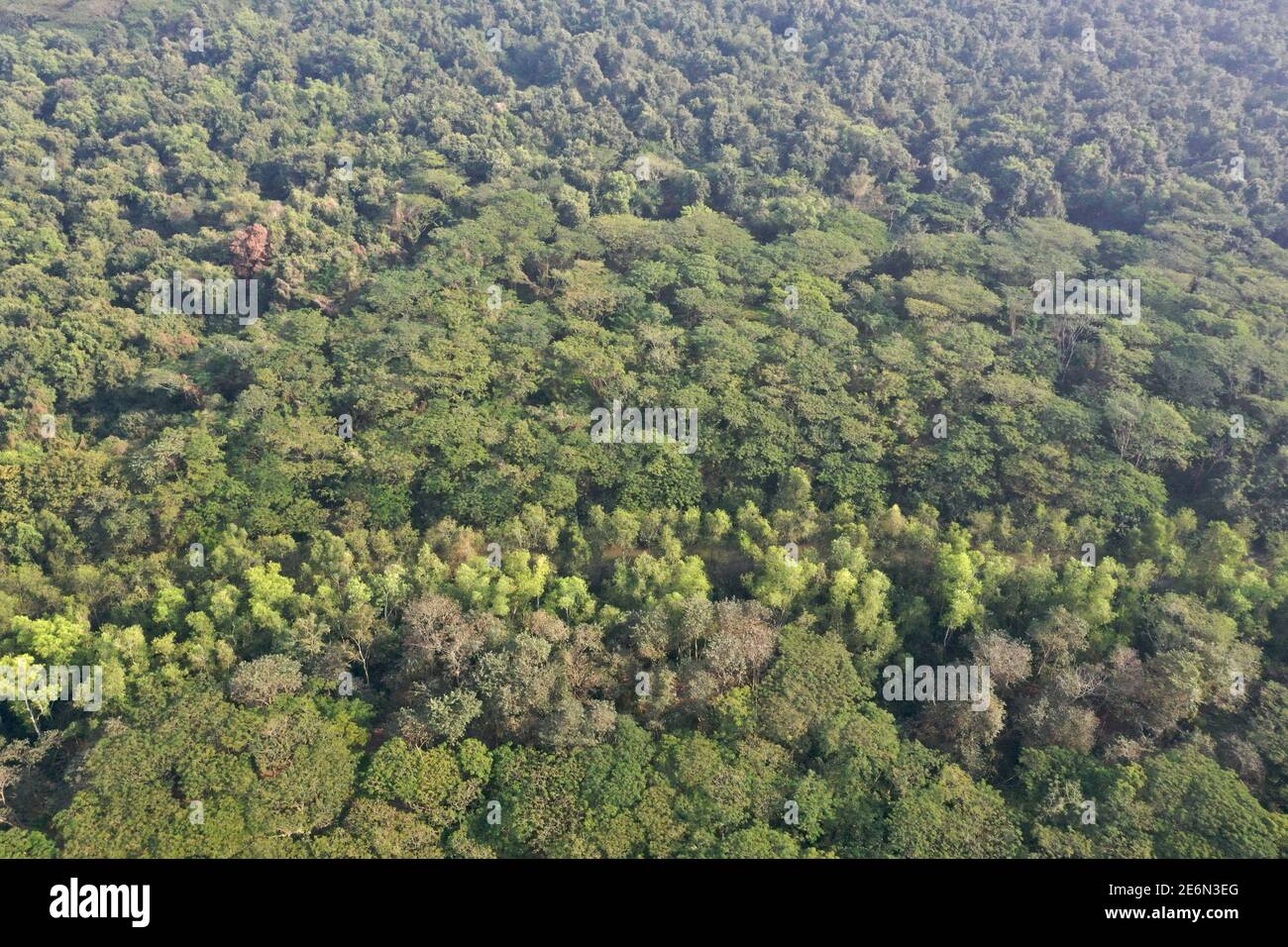 Bagerhat, Bangladesh - January 21, 2021: Aerial view of the Mangrove ...