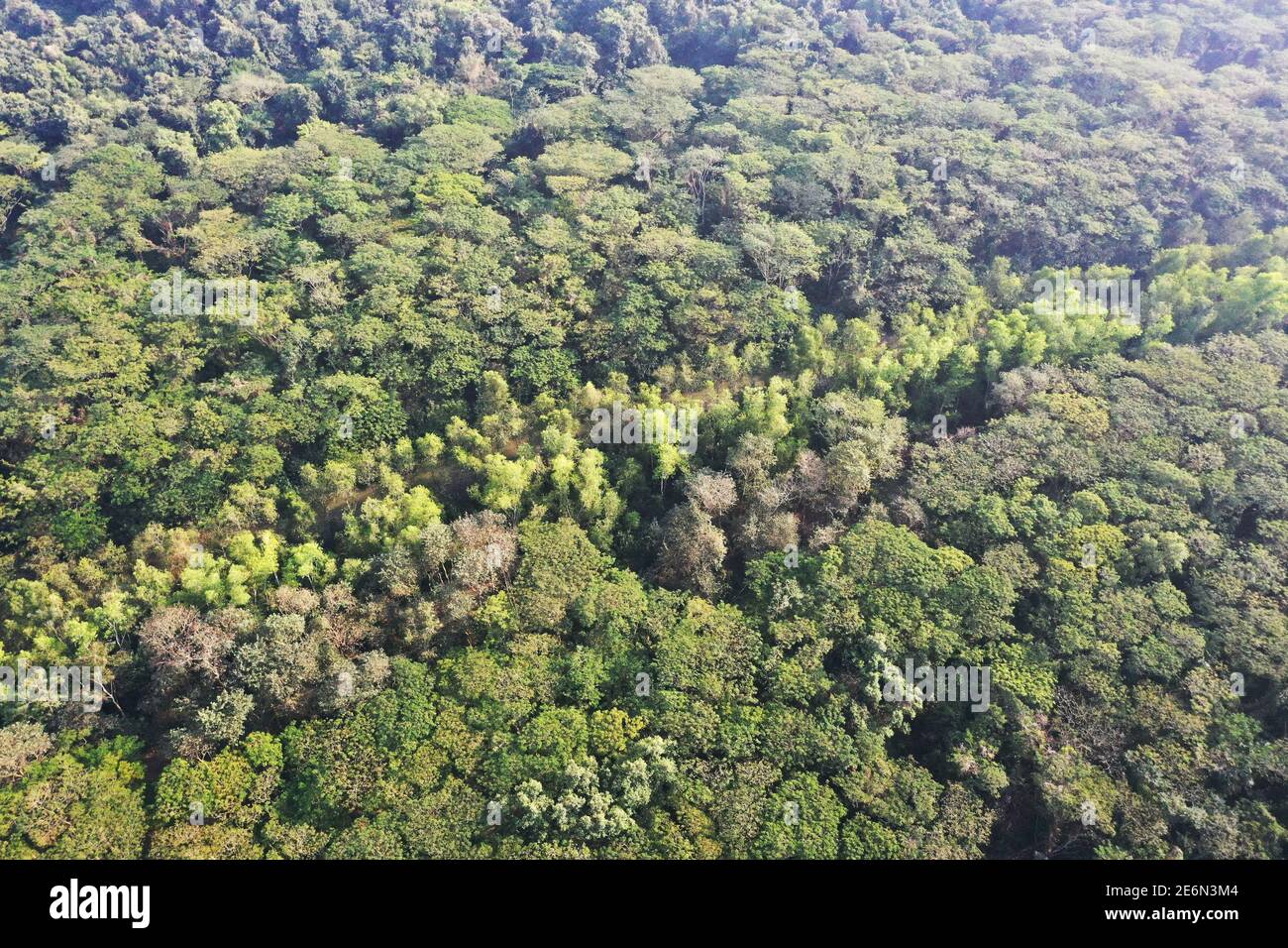 Bagerhat, Bangladesh - January 21, 2021: Aerial view of the Mangrove ...