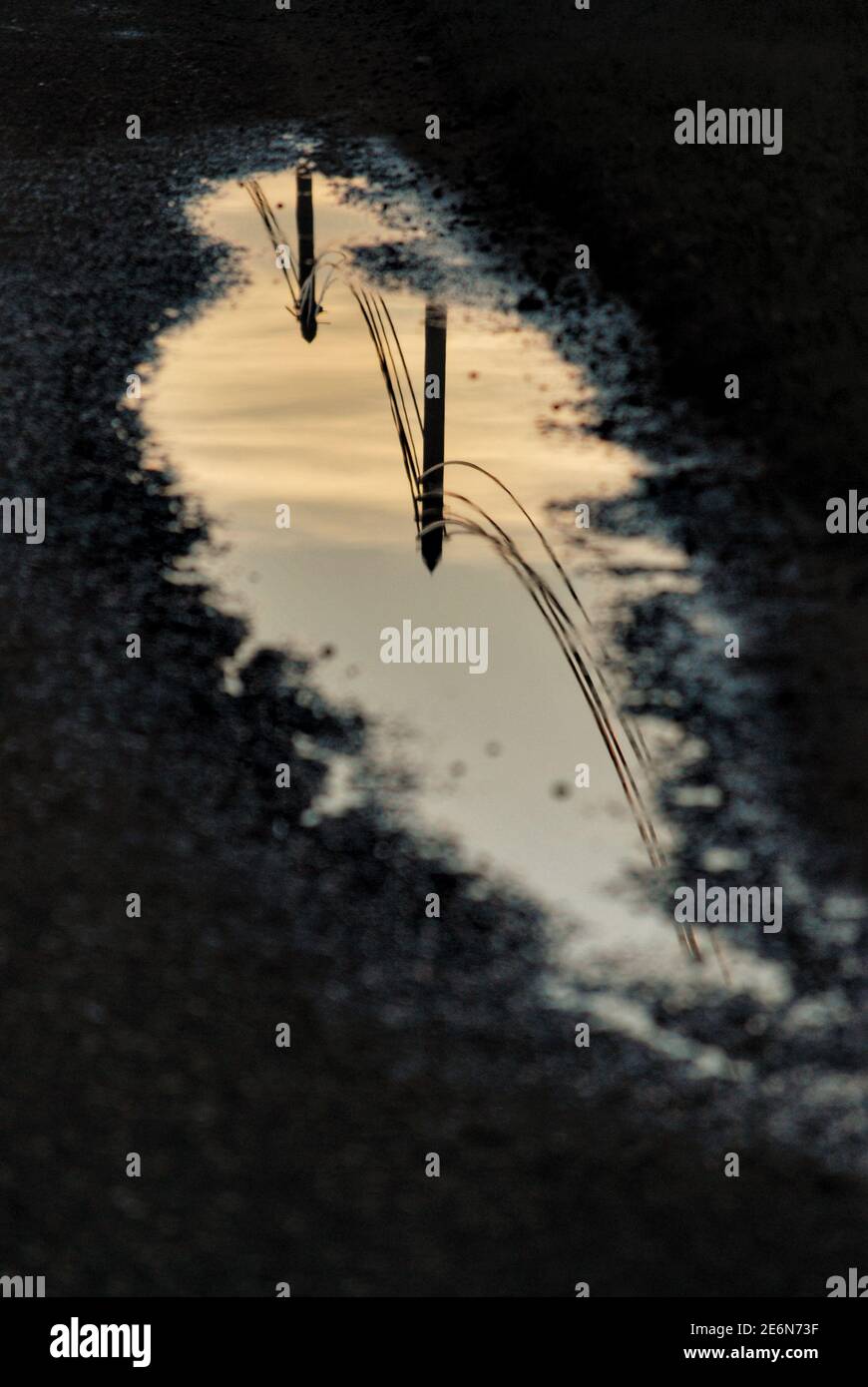 road puddle with reflection Stock Photo - Alamy