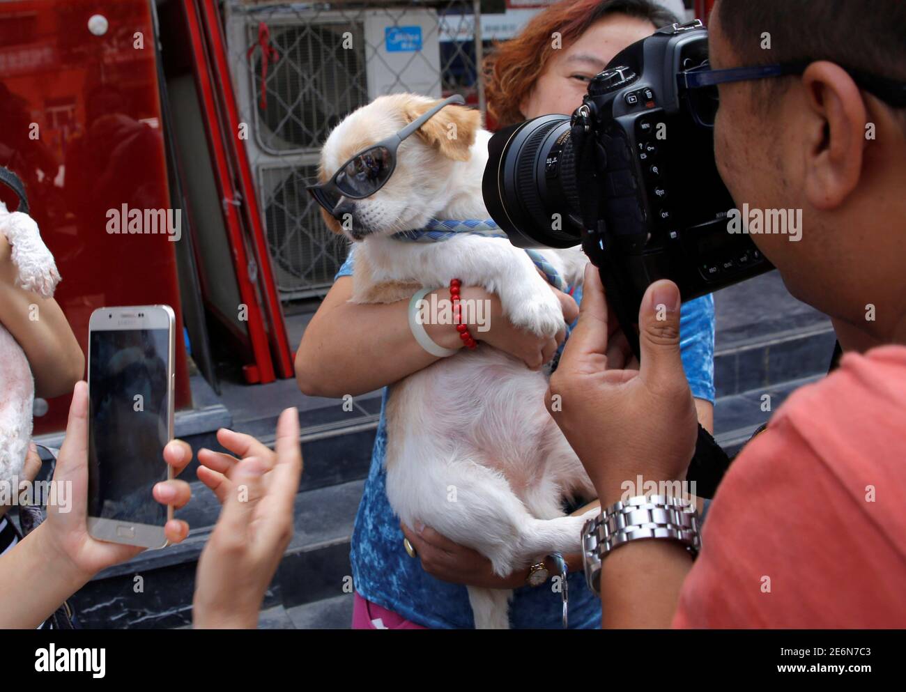 Where Is The Chinese Dog Festival