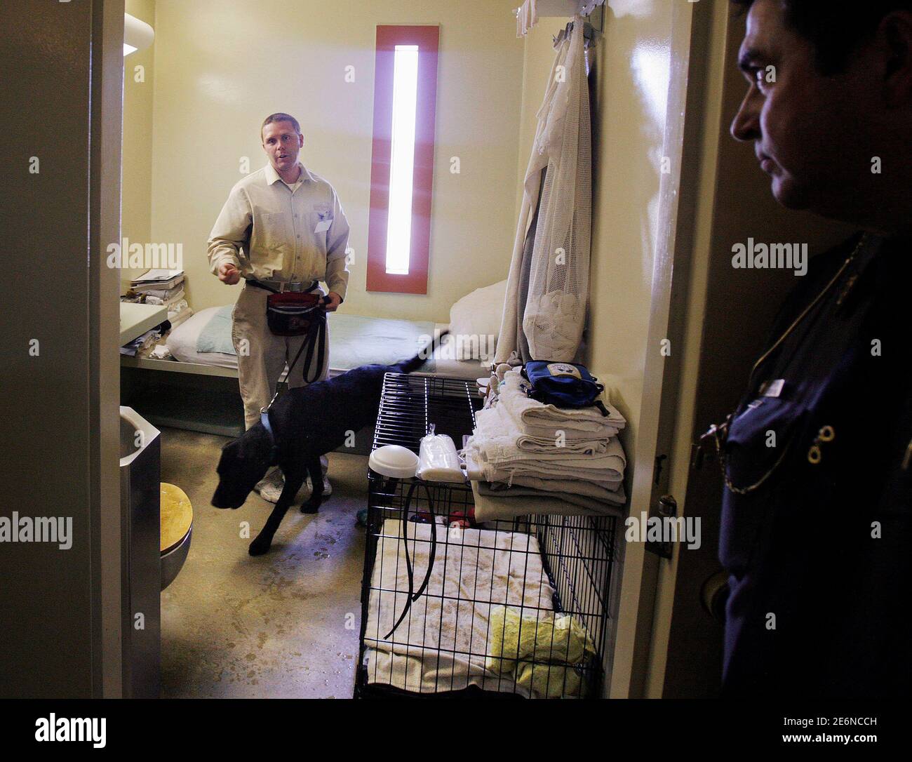 Prison train service dogs hi-res stock photography and images - Alamy