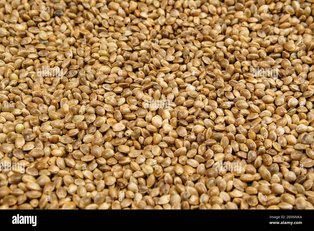 Cannabis seeds. Organic Hemp seed. texture. Hemp seeds background Stock ...