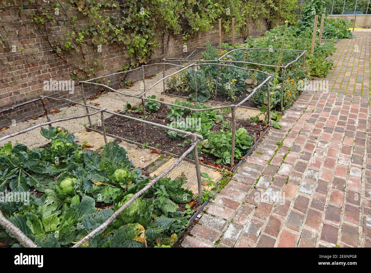 Vegetable plots divided into squares and protected by a framework of ...