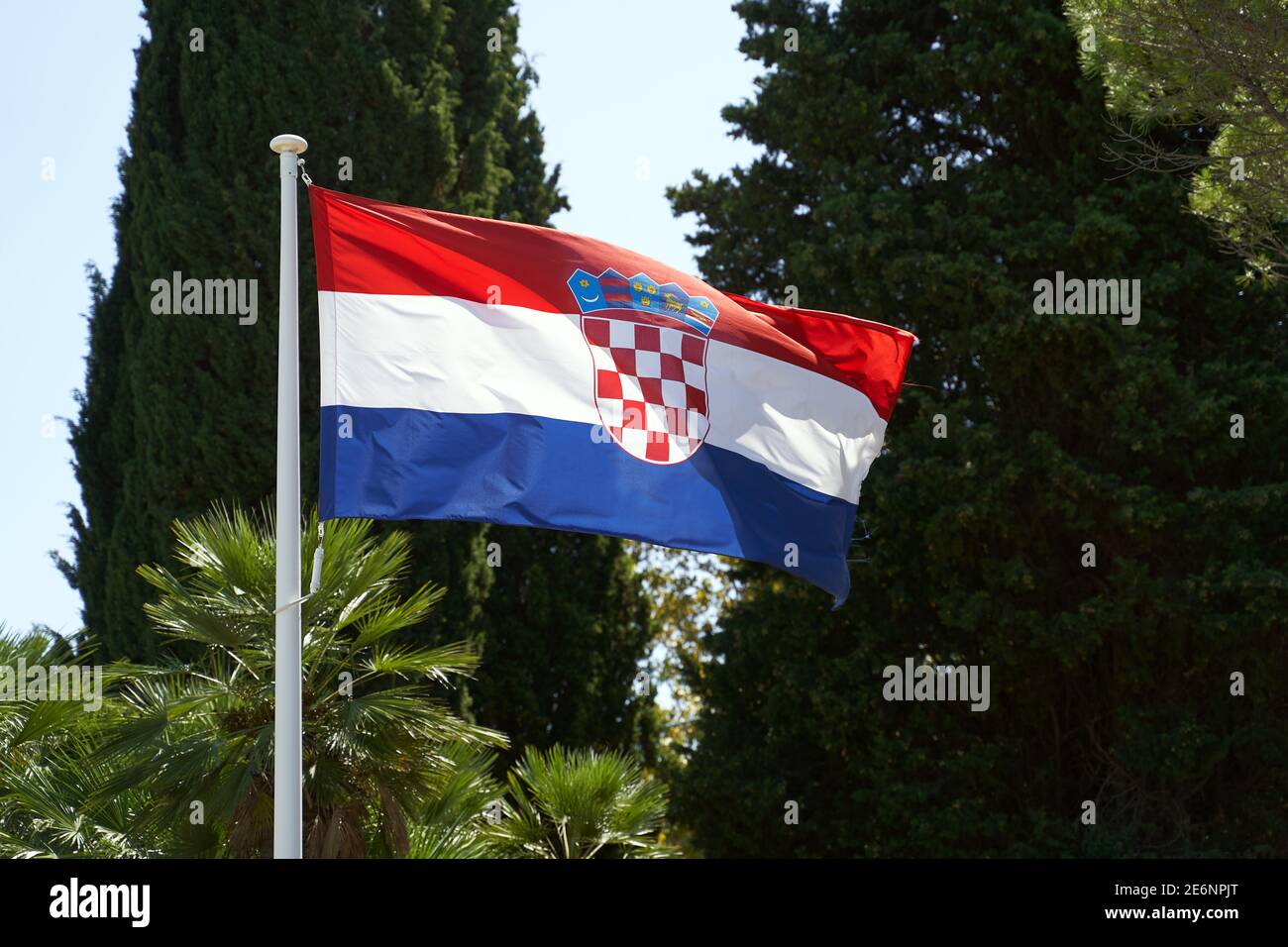 Waving flag of Croatia on summer trees background Stock Photo - Alamy