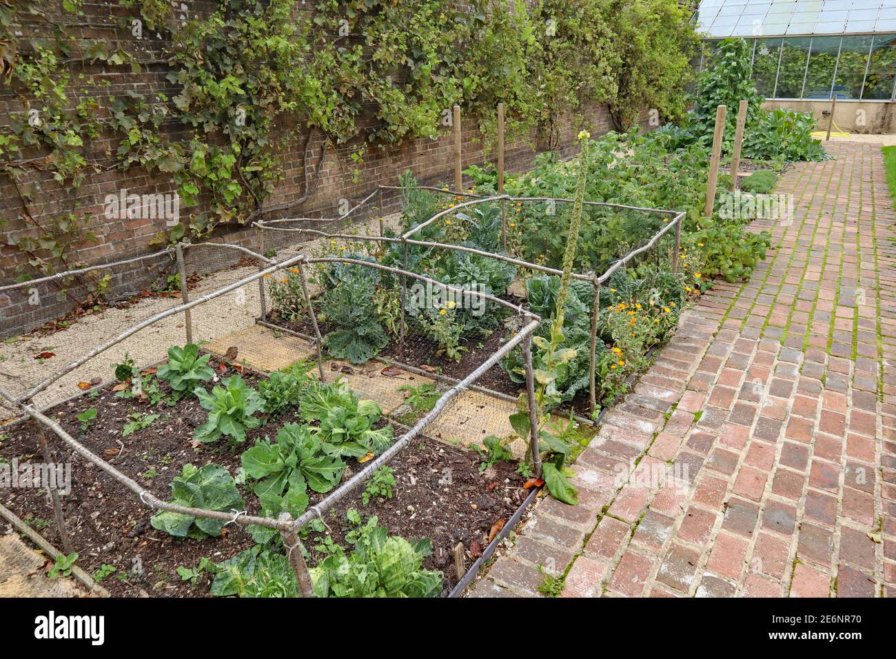 Vegetable plots divided into squares and protected by a framework of ...