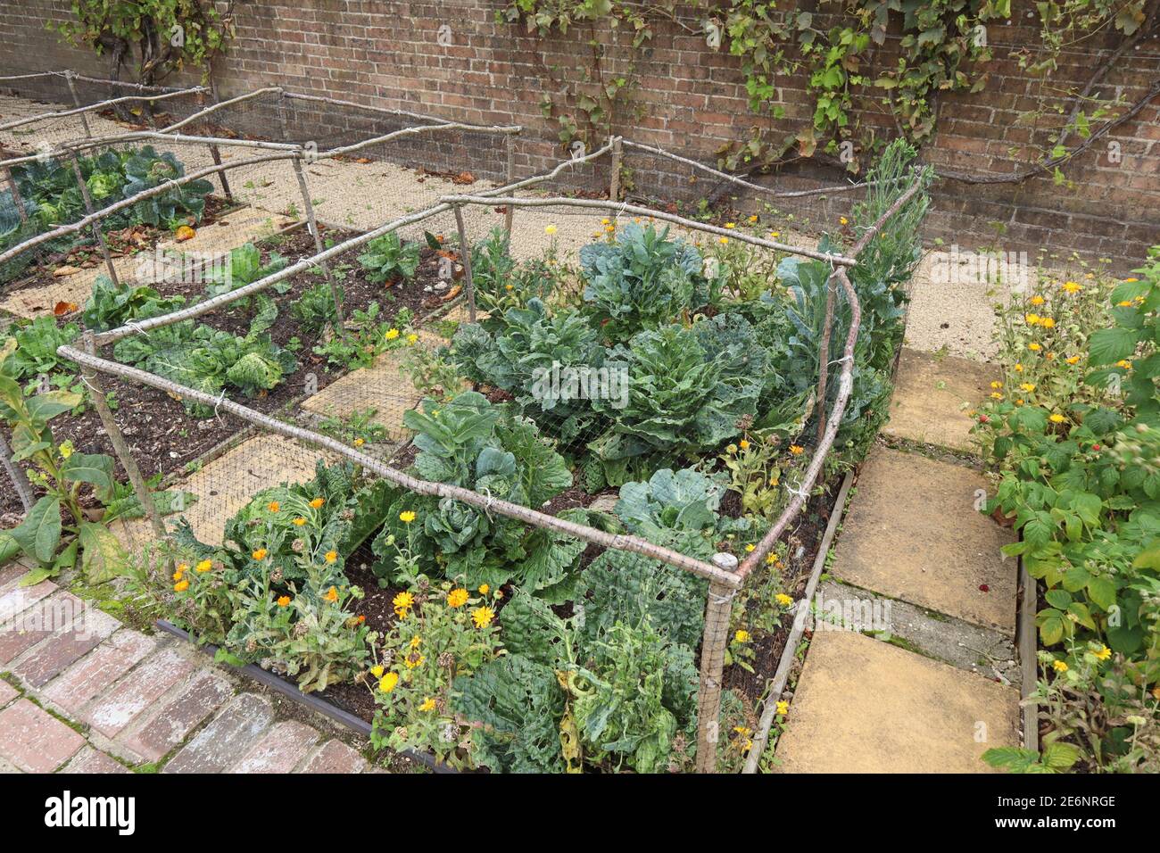 Vegetable plots divided into squares and protected by a framework of ...