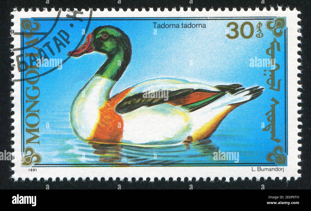 MONGOLIA - CIRCA 1991: stamp printed by Mongolia, shows duck, circa ...