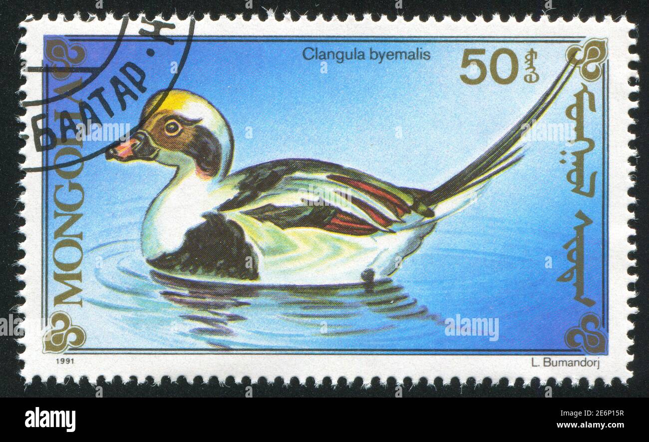 MONGOLIA - CIRCA 1991: stamp printed by Mongolia, shows duck, circa ...