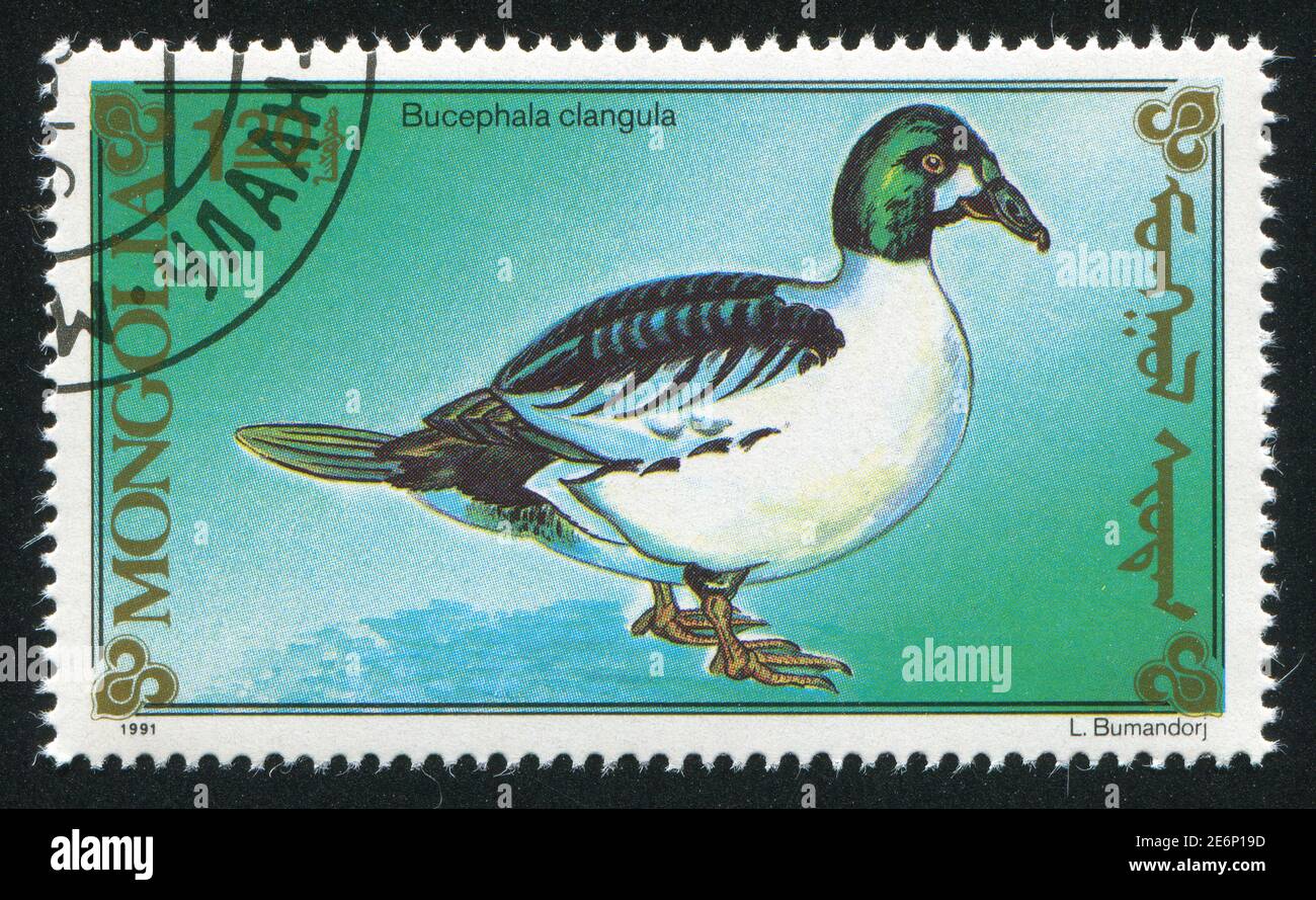 MONGOLIA - CIRCA 1991: stamp printed by Mongolia, shows duck, circa ...