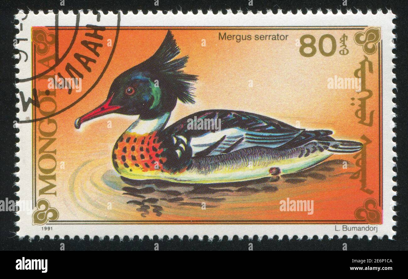 MONGOLIA - CIRCA 1991: stamp printed by Mongolia, shows duck, circa ...