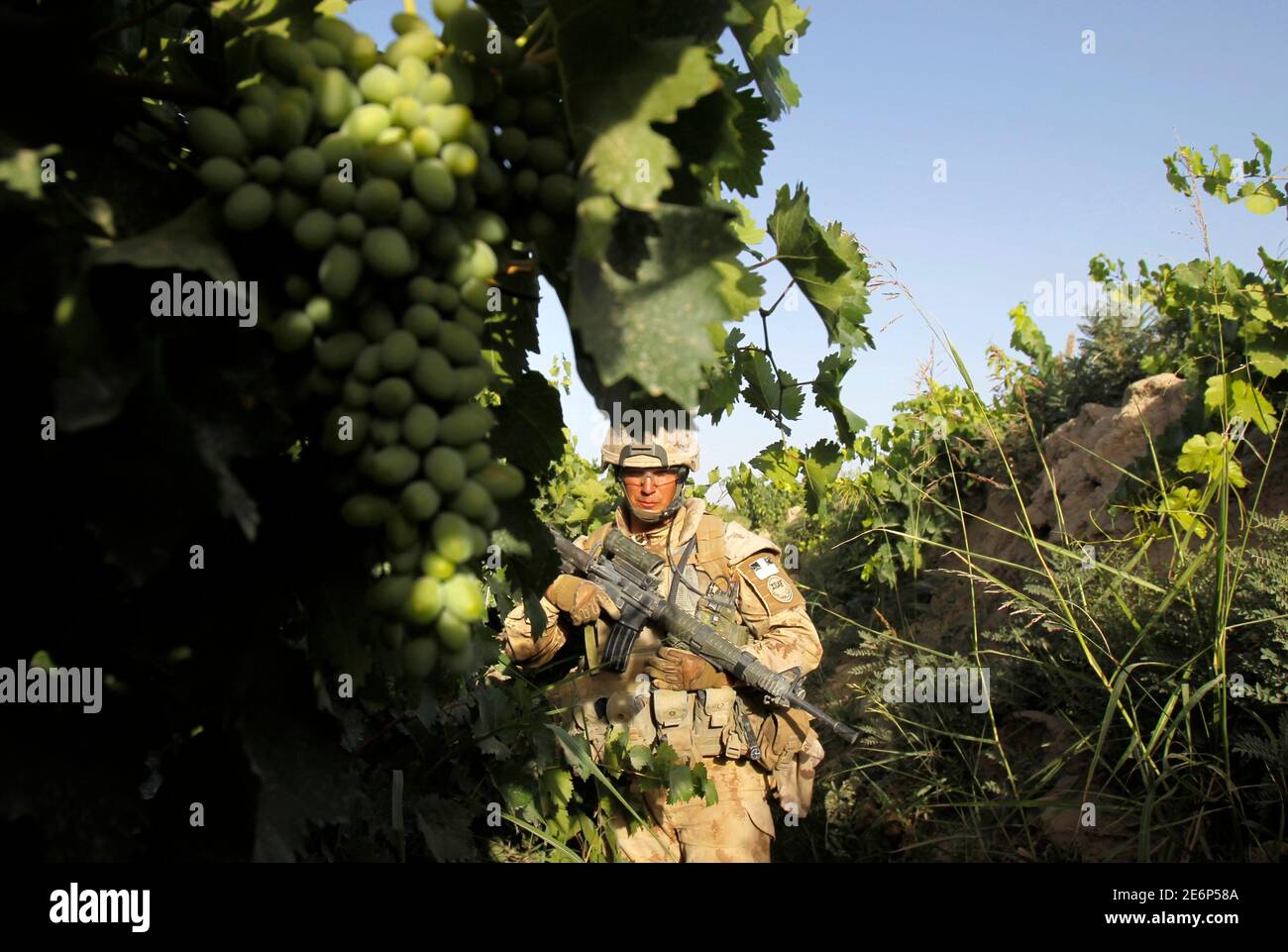 International Military Cooperation High Resolution Stock Photography ...