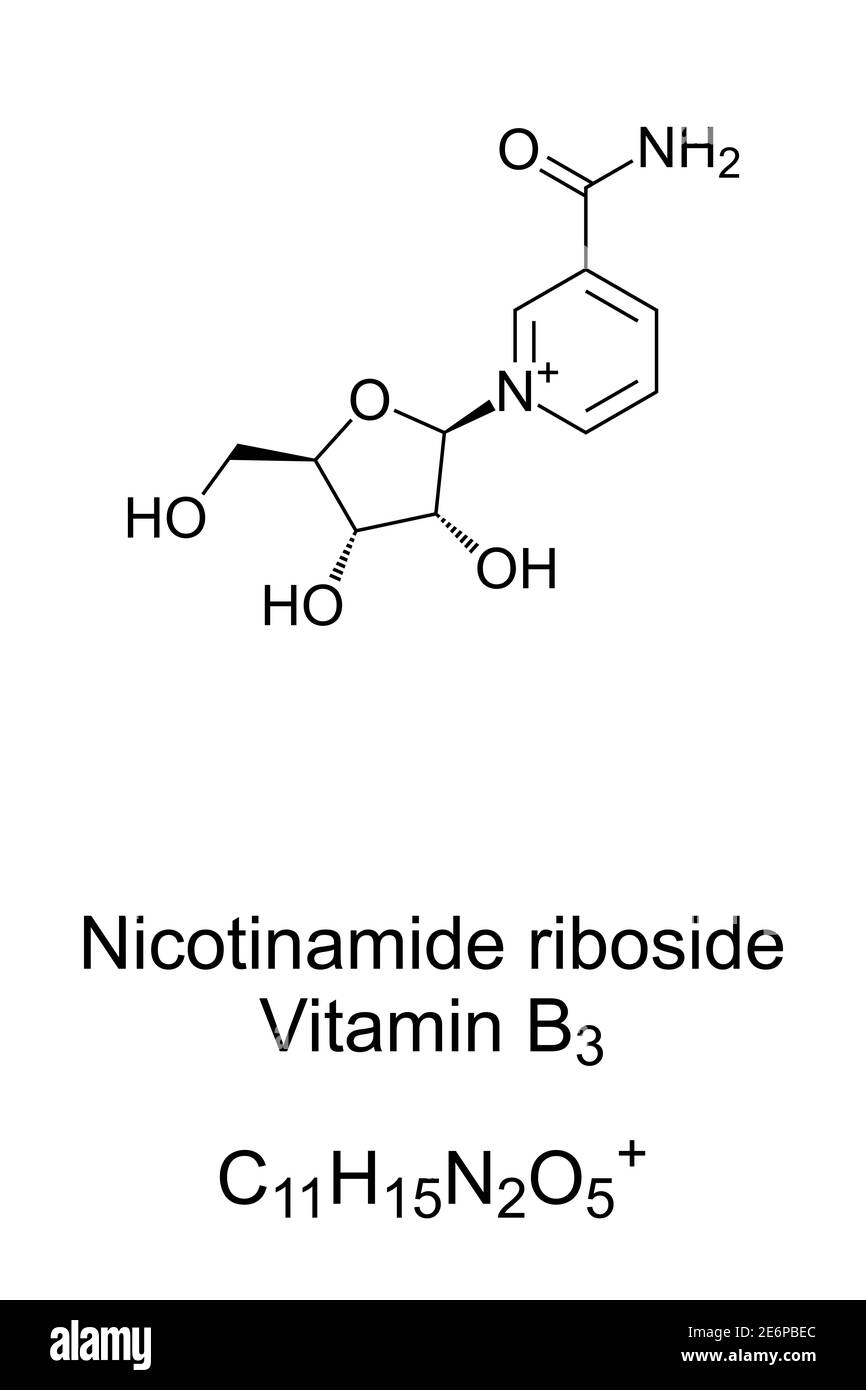 Nicotinamide Structure