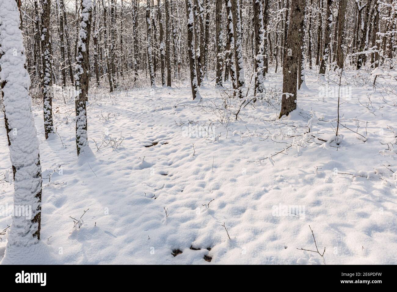 Clearing path of snow hi-res stock photography and images - Alamy