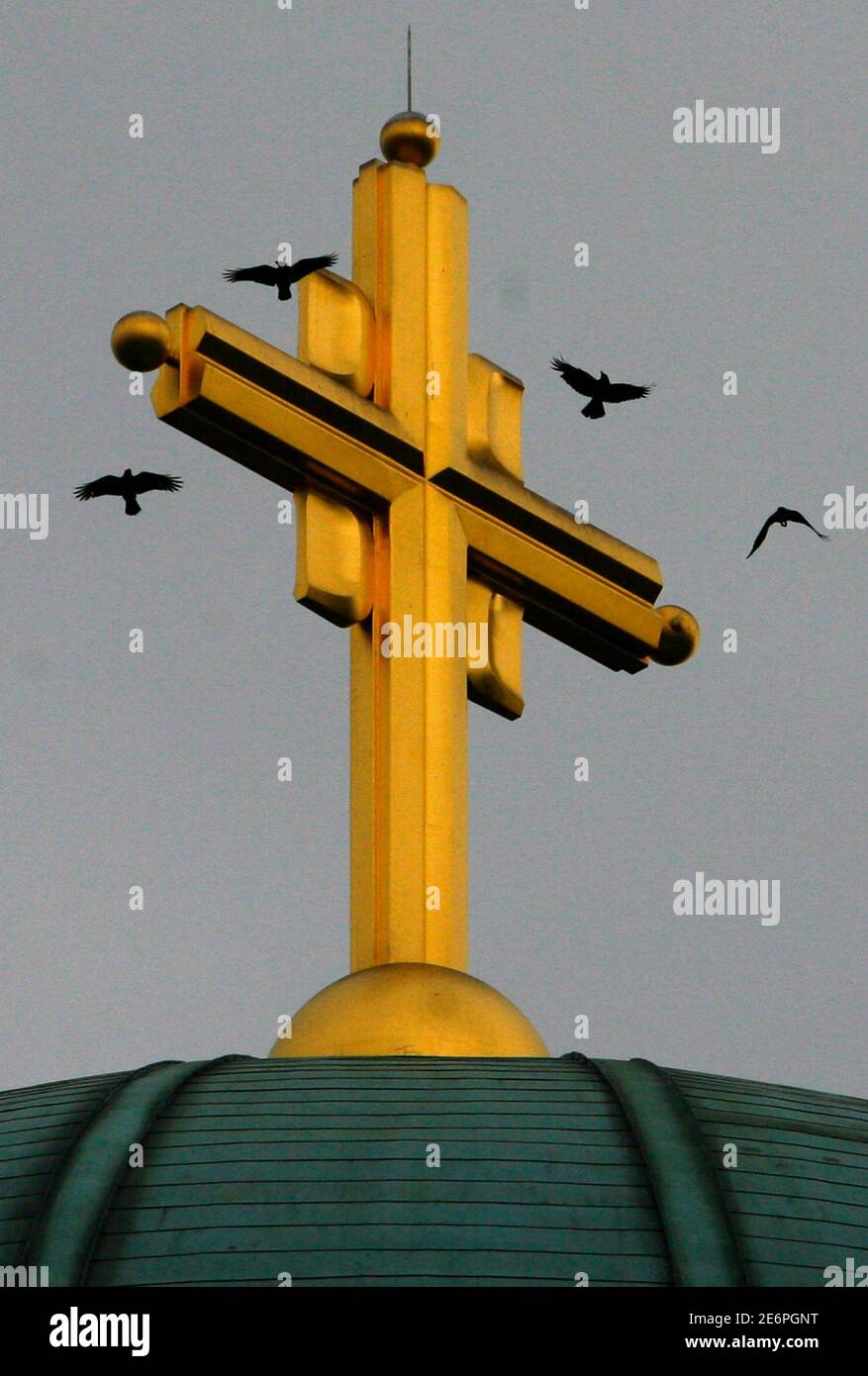 Birds fly over a church hi-res stock photography and images - Alamy