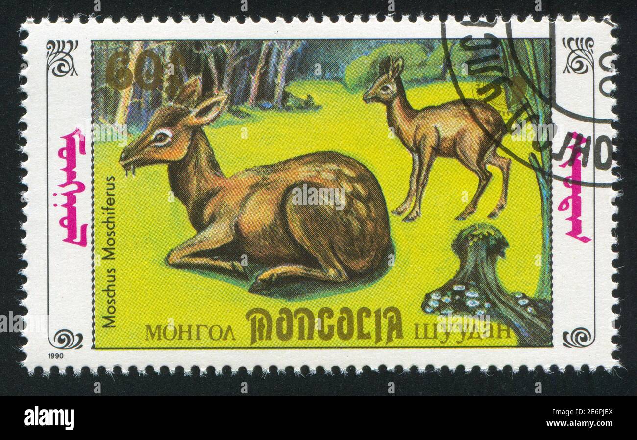 MONGOLIA - CIRCA 1990: stamp printed by Mongolia, shows a couple of ...